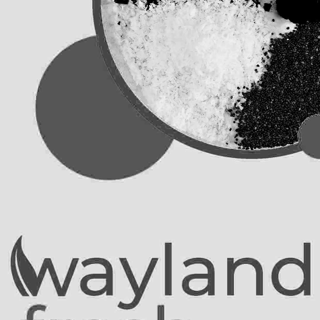 WAYLAND FRESH MENU